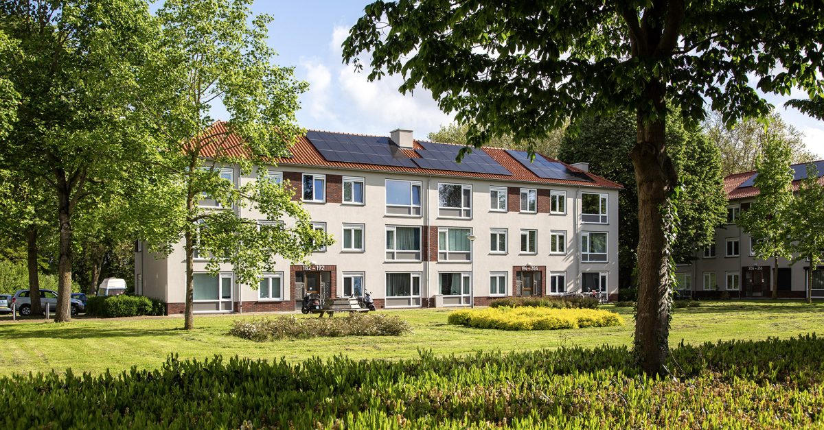 Aanpak VB GO - VB Groep